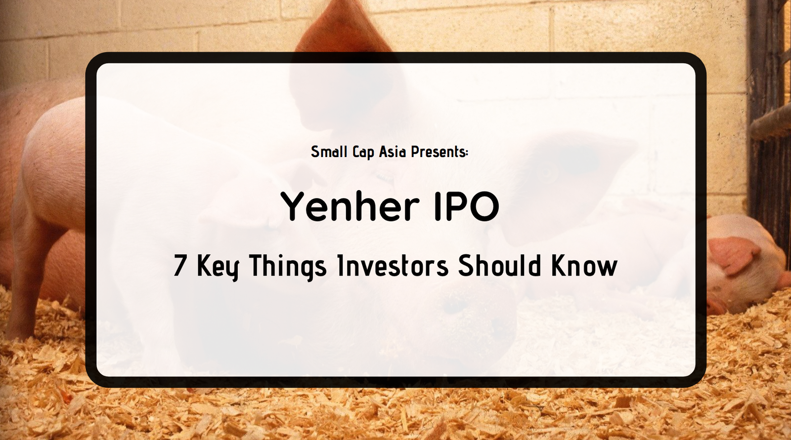 Yenher IPO - 7 Key Things Investors Should Know - SmallCapAsia